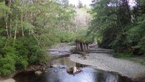 Quatse River Campground & Regional Park - Gr8 Travel Tips