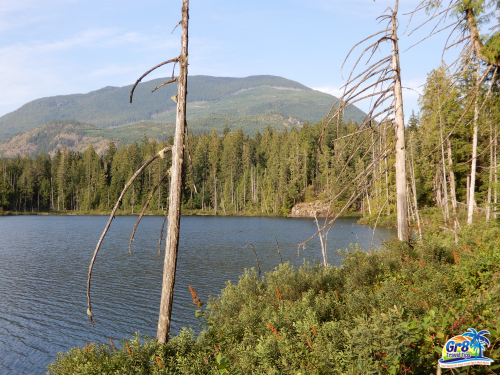 Skookumchuck Narrows Provincial Park | British Columbia - Gr8 Travel Tips