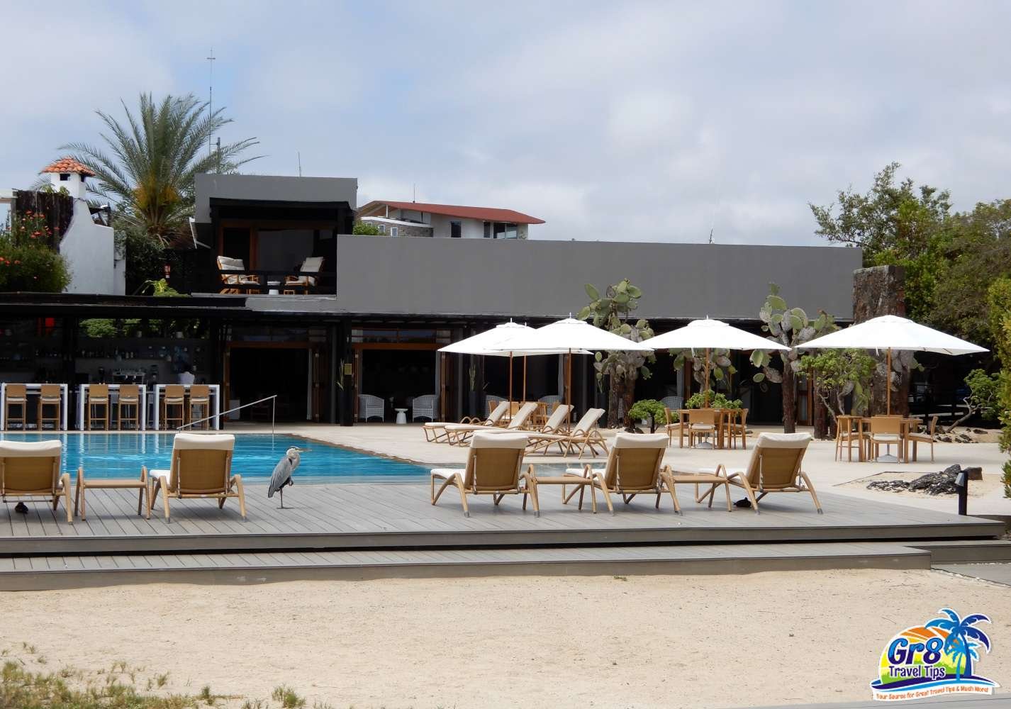 Finch Bay Galapagos Hotel In Puerto Ayora, Ecuador {Review} - Gr8 ...