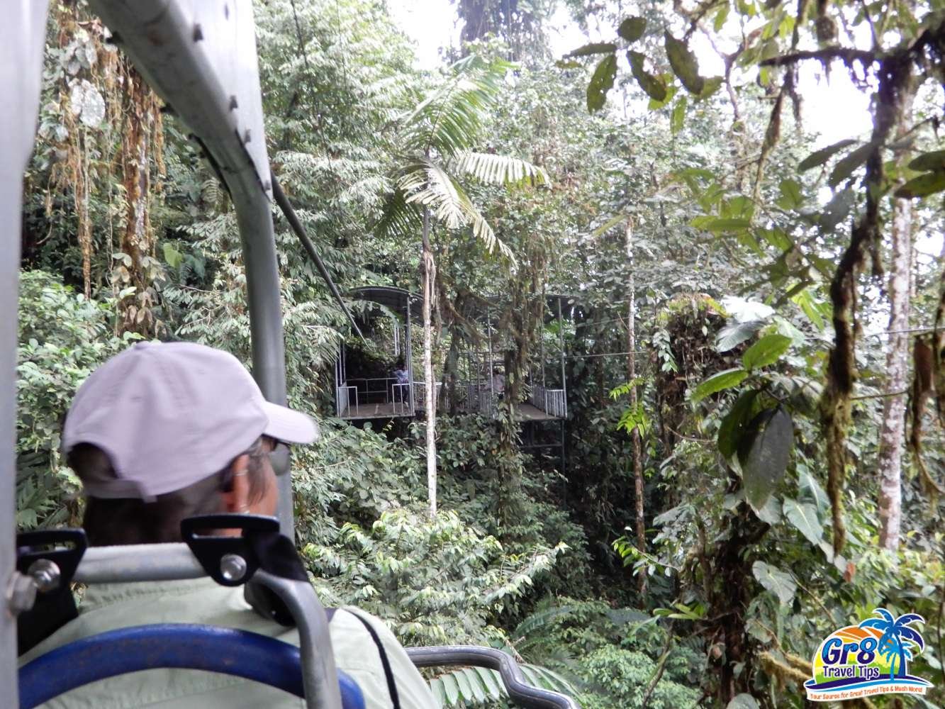 Mashpi Lodge - Ecuador Rainforest Expedition Hotel {Review} - Gr8 ...