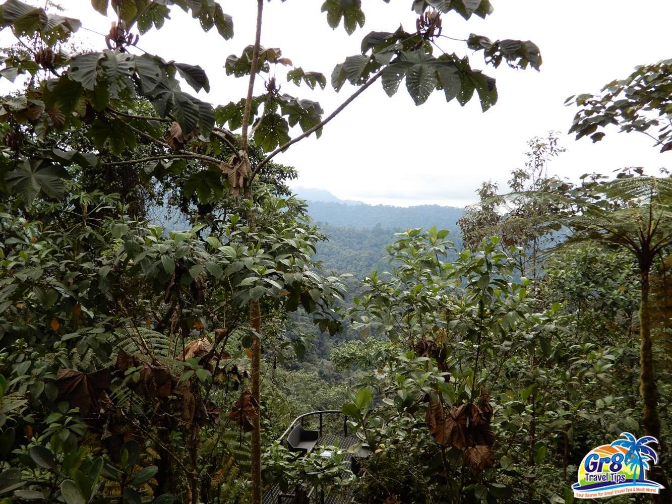 Mashpi Lodge - Ecuador Rainforest Expedition Hotel {Review} - Gr8 ...