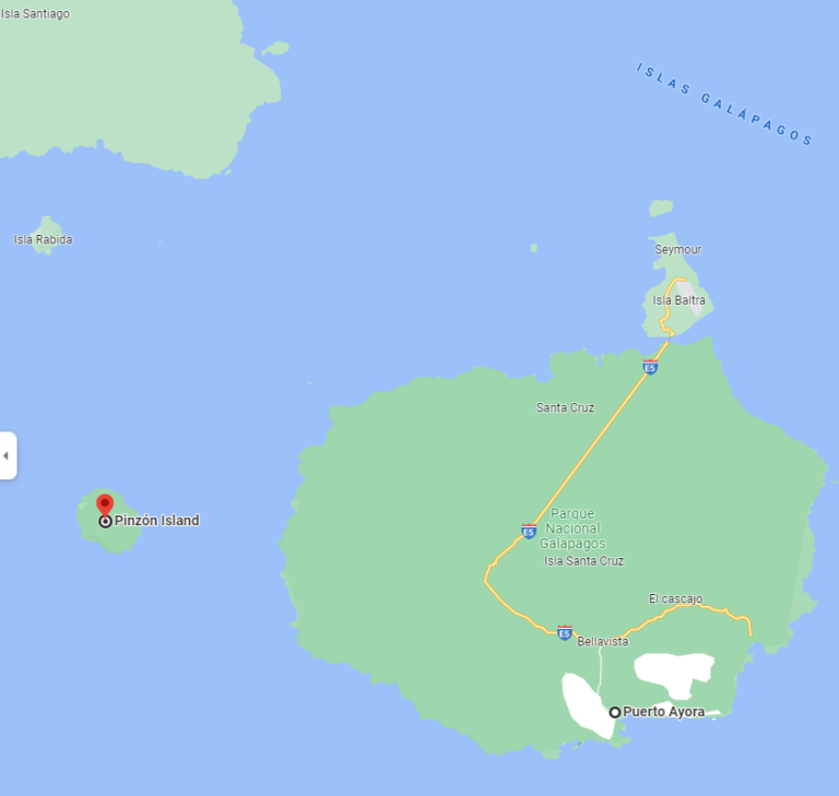 Pinzon Island Snorkeling Tour - Galapagos Islands {Review} - Gr8 Travel ...