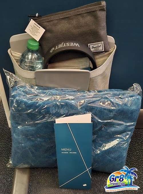 WestJet Premium Economy Class {Dreamliner Flight Review} - Gr8 Travel Tips
