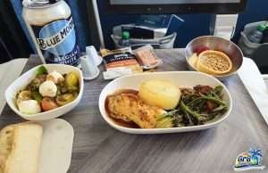 WestJet Premium Economy Class {Dreamliner Flight Review} - Gr8 Travel Tips